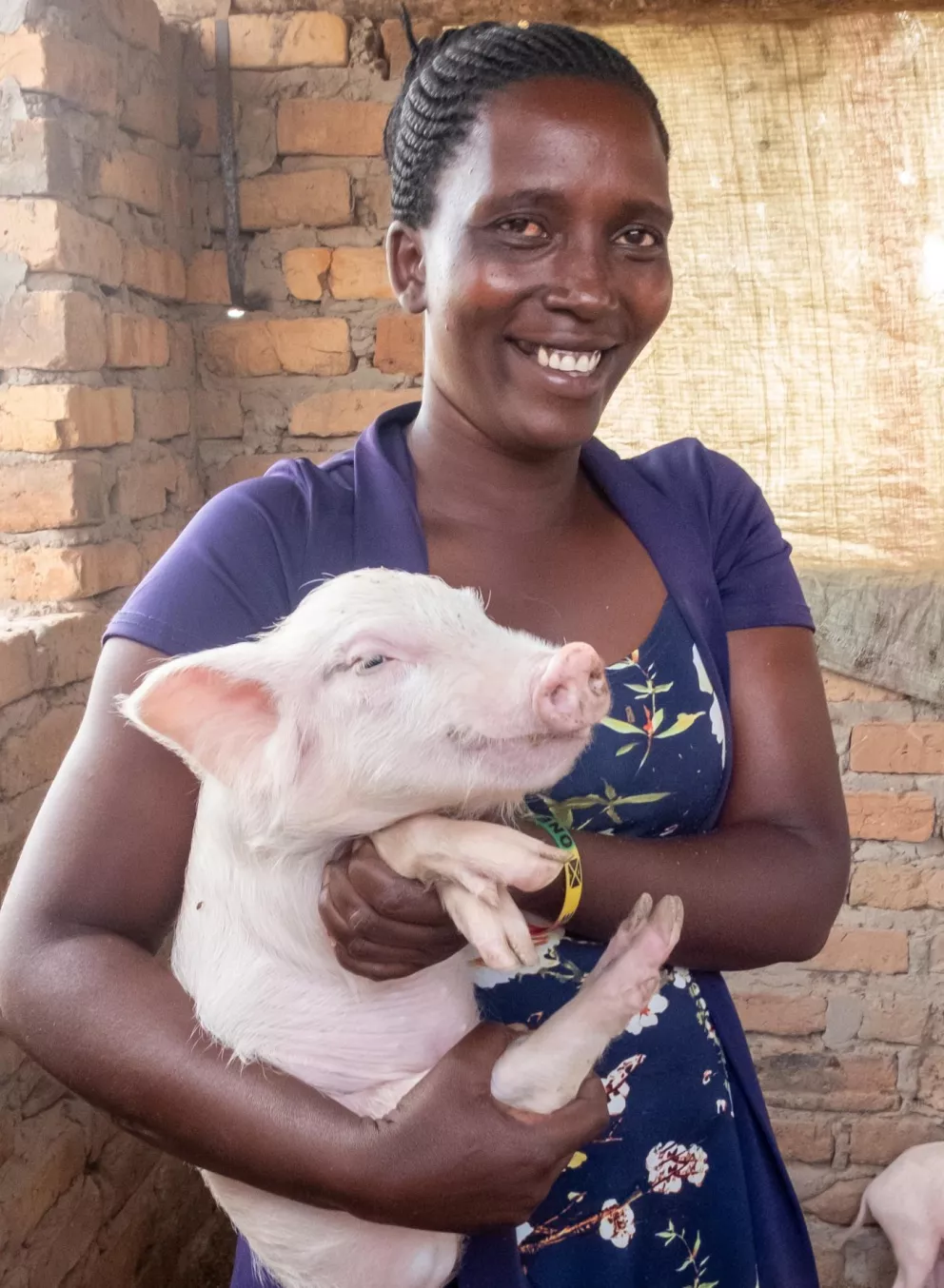 Relief, development and podcast: Peace pigs / With Mary Ilero and Sam ... Relief, development and podcast: Peace pigs / With Mary Ilero and Sam ...