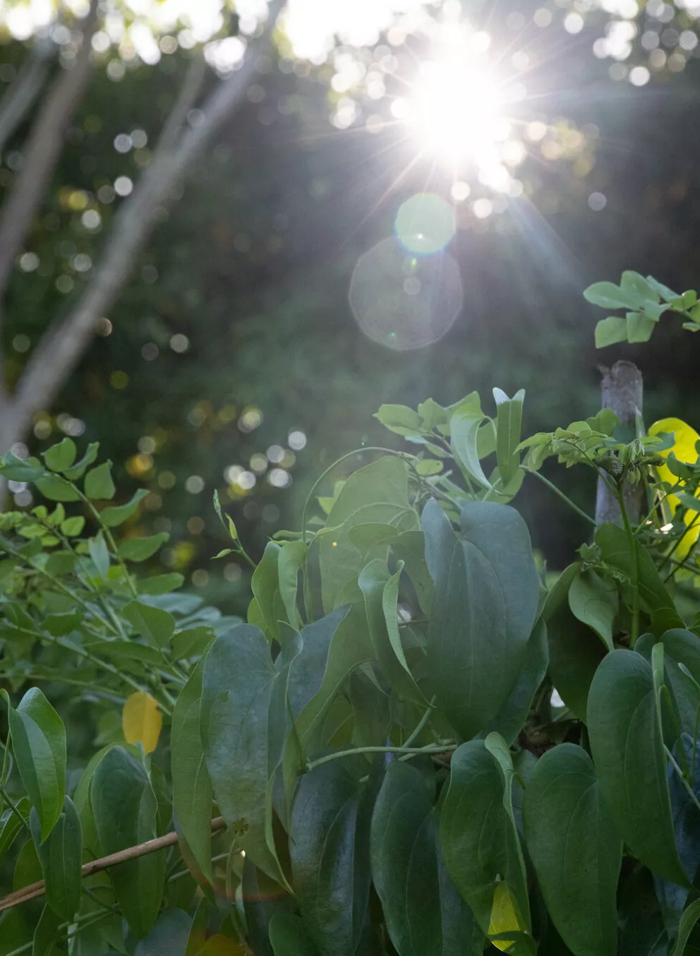 2024 Michael J. Sharp Global Peacemaker Award | Mennonite Central Committee